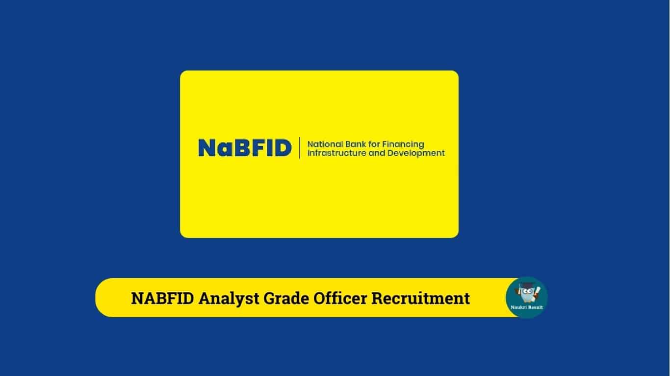 NABFID Analyst Grade Officer Recruitment 2025